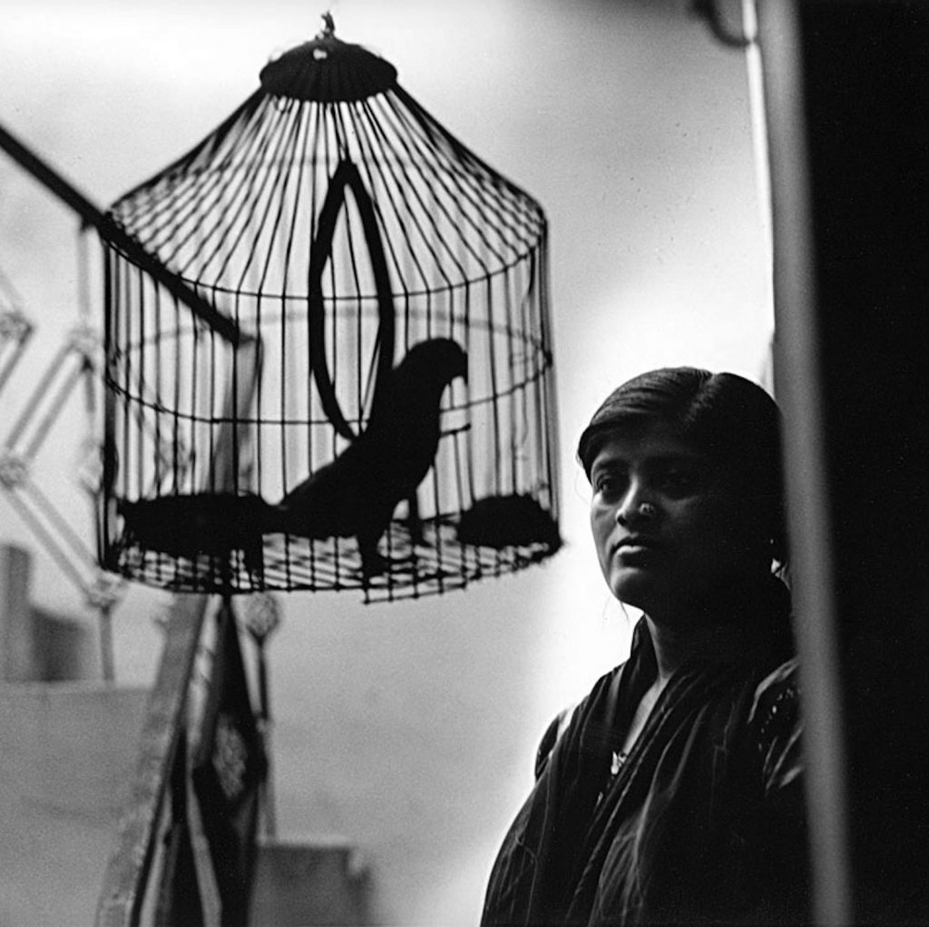 Social Study by Lens - Sudharak Olwe - Nippon Gallery